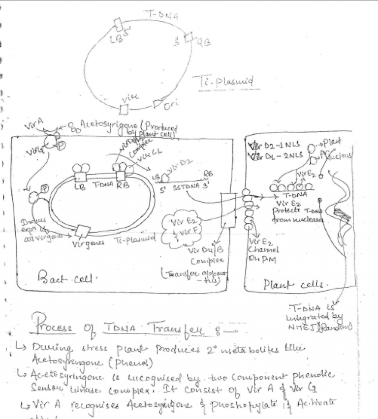 Life Sciences Complete Handwritten Notes Gyan Bindu for NET